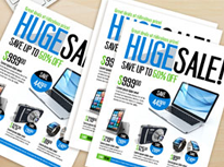 next day flyers professional code