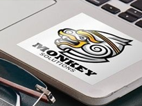 next day flyers professional code